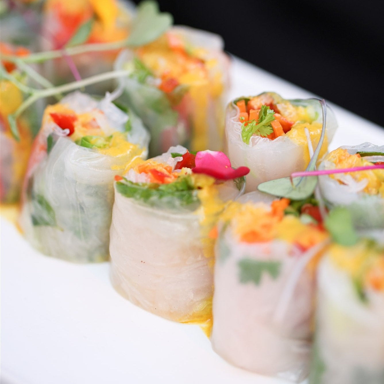 Veggie Fresh Rolls - Vegan – Haute Chefs LA